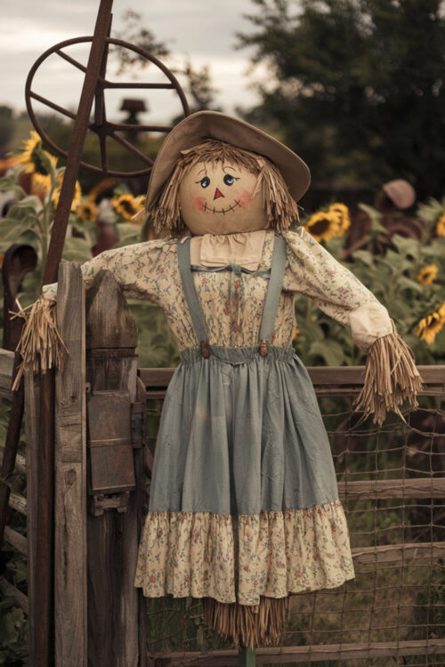 Top 10 Scarecrow Ideas for Fall Festivals and Events - Various Loft