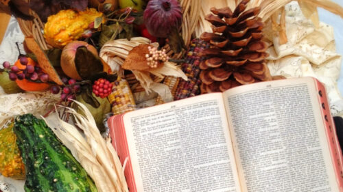 30 Best Thanksgiving Activities For Families - Various Loft